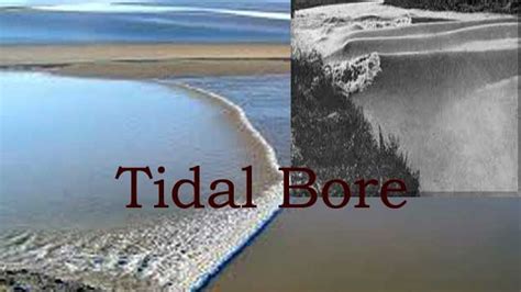 What Is A Tidal Bore