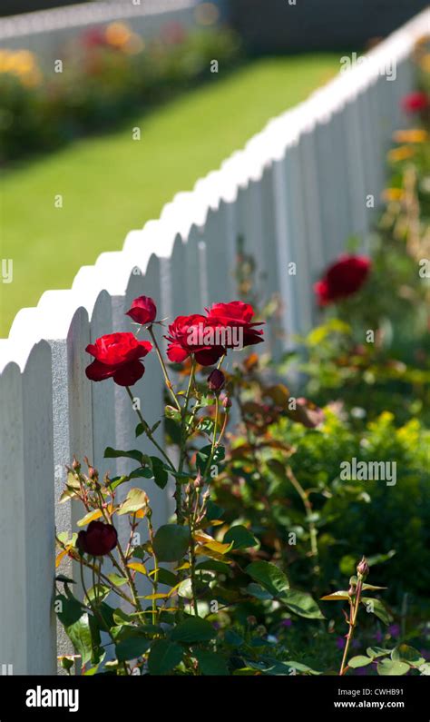 La Première Guerre Mondiale Cimetière Chinois De Nolette Picardie