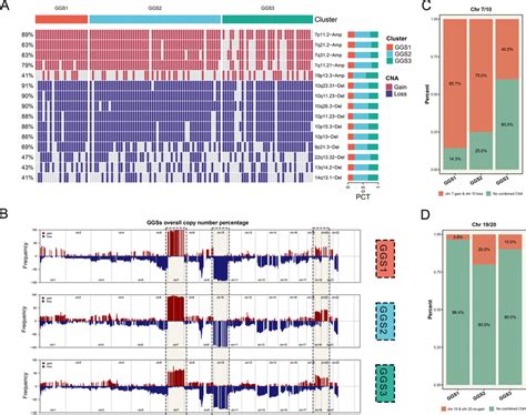 The Differences In Copy Number Variations And Frequency Between Ggss Download Scientific