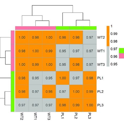 Correlation Coefficient Using Inter Sample RNA Seq Values Normalized Download Scientific