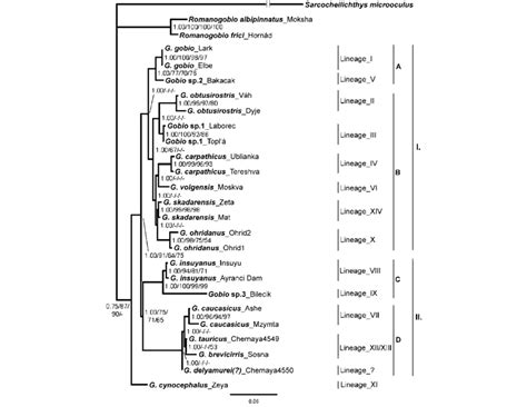 Bayesian Consensus Tree Resulting From The Analysis Of The Control