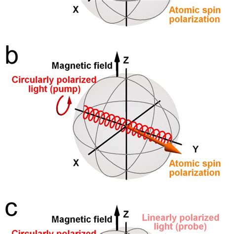 Scheme For Optical Pump Probe Magnetometry The Orange Colored Arrow