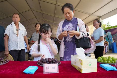 葡萄采摘正当时！淮北市第八届段园葡萄采摘节正式开幕中安新闻中安新闻客户端中安在线