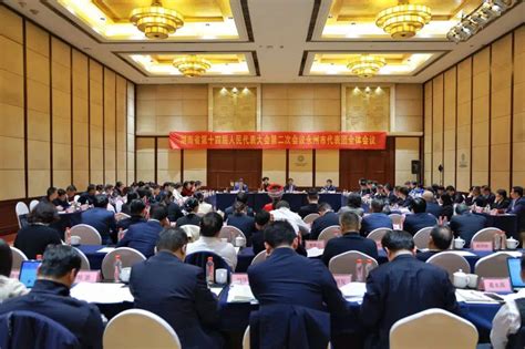 张迎春参加永州代表团审议发展工作建设