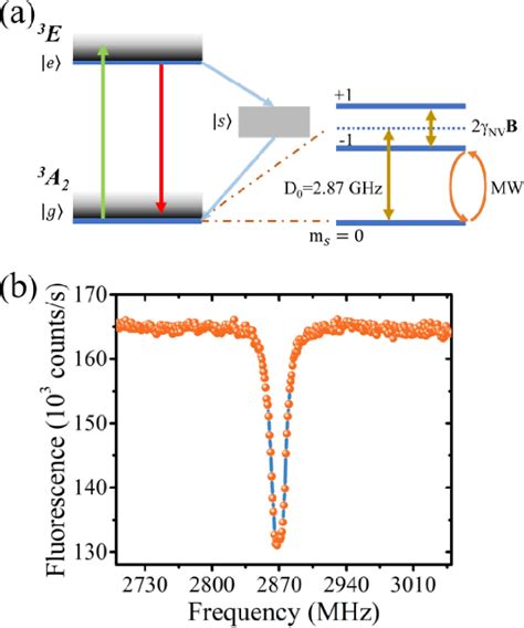 Figure 4 From Quantum Calibration Of Multi Pixel Photon Counter And Its Application In High