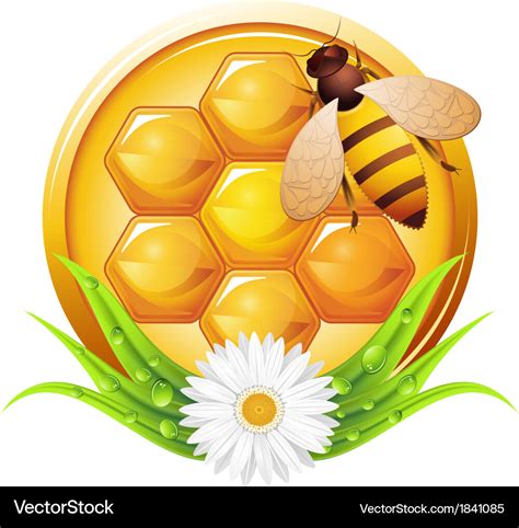 Honey Royalty Free Vector Image VectorStock