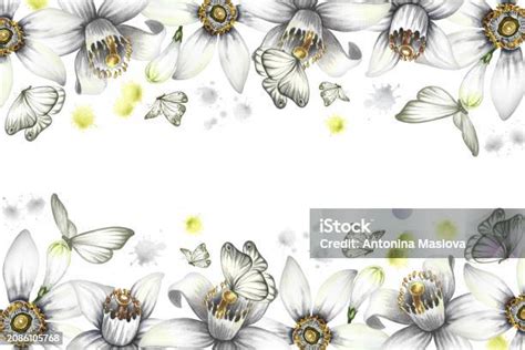 오렌지 꽃 향기로운 오렌지 나무 꽃과의 경계 나비가 있는 감귤류 꽃의 프레임 손으로 그린 수채화 그림입니다 향수 엽서 및 라벨 포장용 배너용 0명에 대한 스톡 벡터 아트 및