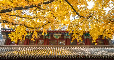 Peking University