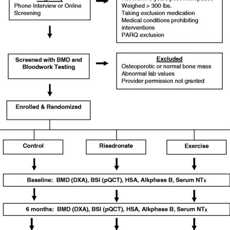 Experimental Design And Flow Chart Download High Resolution Scientific Diagram