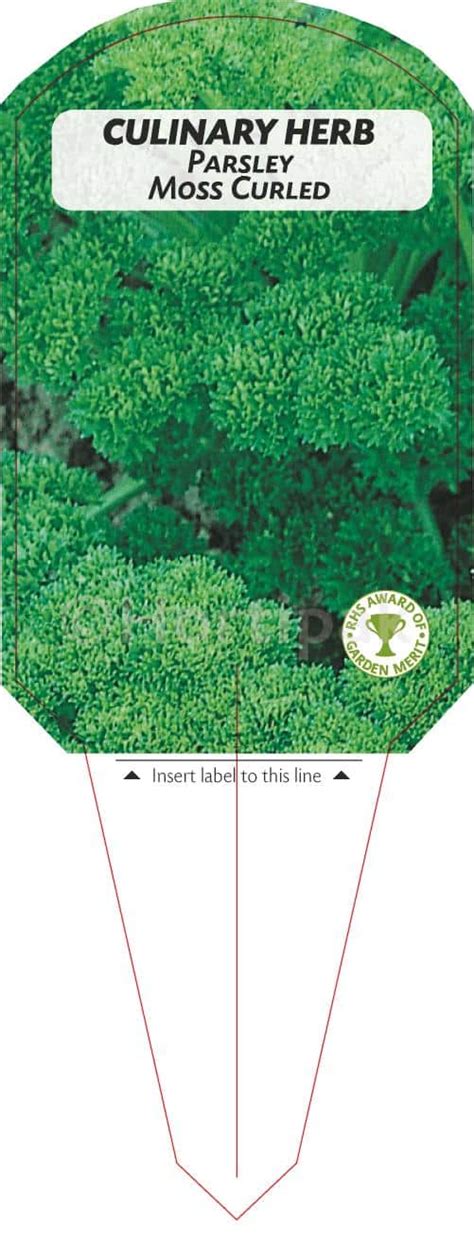 Culinary Herb Parsley Moss Curled Plant Labels Hortipak