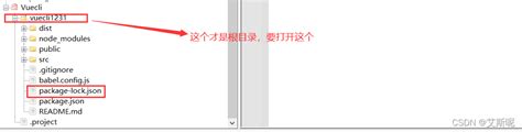vue项目运行——本项目下未包含任何package json值 本项目下未包含package csdn博客
