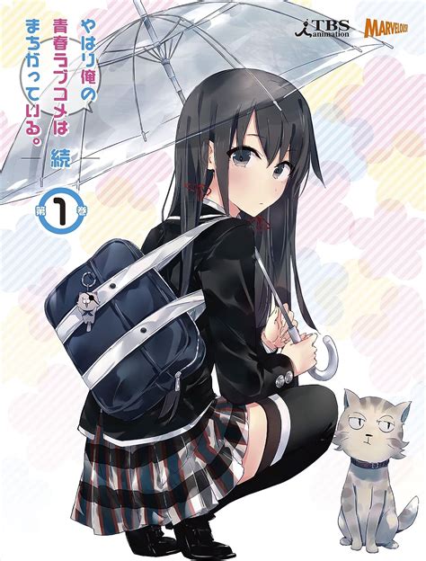 すのでご やはり俺の青春ラブコメはまちがっている続 初回限定版 付属 小説 ブルーレイ