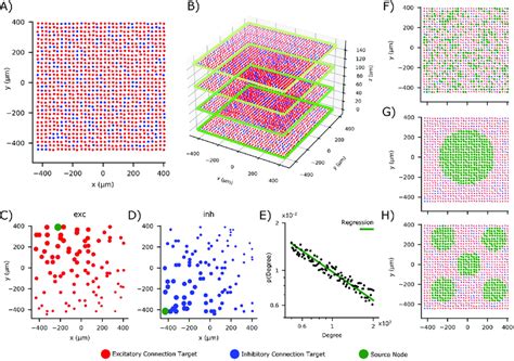 Topological Properties Of The Simulated Neuronal Networks A Neurons Download Scientific