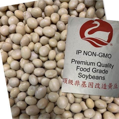 非基因黃豆 天鵝頂級加拿大非基因黃豆 Ip非基因改造黃豆 Ip Non Gmo Soybeans 蝦皮購物