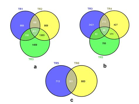 6 Venn Diagrams Displaying Overlap Between The Bacterial Communities
