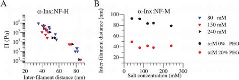 A Inx Based Bipolymer Filament Networks Do Not Condense With Download Scientific Diagram