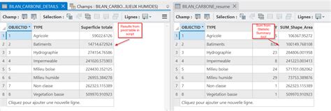 Solved Pivot Table Does Not Summarize Properly Esri Community