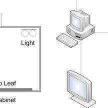 PDF Classification And Quality Evaluation Of Tobacco Leaves Based On