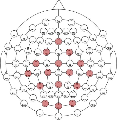 The Representation Of Located Eeg Electrodes On The Scalp 18