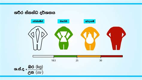 Bmi Health Education Bureau Srilanka Bmi උසට සරිලන බර Youtube