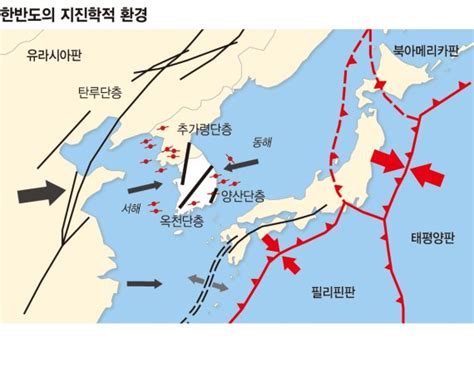 이웃나라 한국 일본 지진발생 다른 이유 파이낸셜뉴스