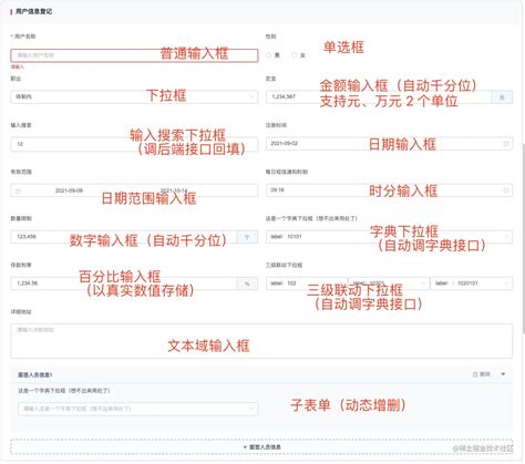 摸鱼神器！开发效率提升 1000 的 vue 低代码表单组件一个牛皮的、基于 vue js 和 element ui 掘金