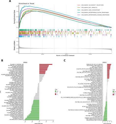 Figure 9 From Sprr1b Is Related To The Immune Microenvironment And Can Be Used As A Biomarker