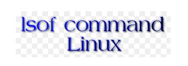 Example Of Lsof Commands In UNIX And Linux Cyber Photon