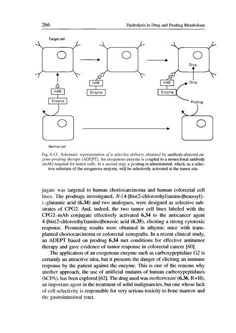 Enzymes Schematic Representation Big Chemical Encyclopedia