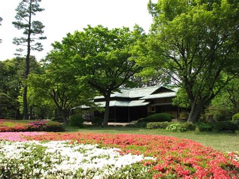 皇居東御苑のつつじ