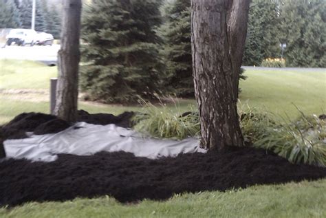 Mulch And Garden Soil Installation Tropical Touch Landscaping