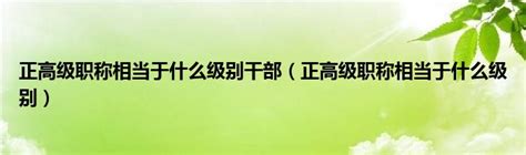 正高级职称相当于什么级别干部（正高级职称相当于什么级别）环球知识网