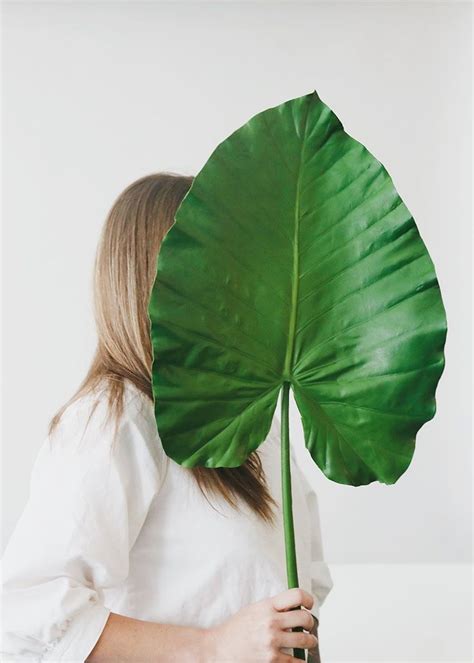 Artificial Tropical Elephant Ear Leaf 43