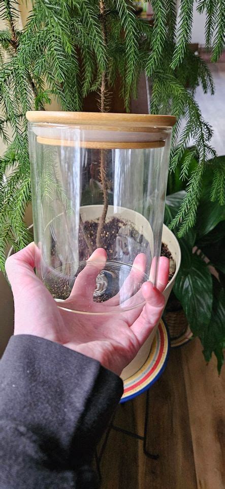 Terrarium Workshop The Ruby Wren Eclectic Boutique Godfrey 14 March