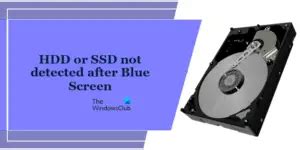 NVMe SSD Not Detected In Windows