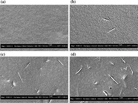 Sem Images Fe Sem Of Top View Of A Pure Psf And Mmms Of B