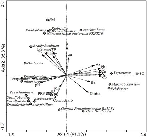 A Redundancy Analysis Rda Biplot Based On Phylogenetic Groups At The