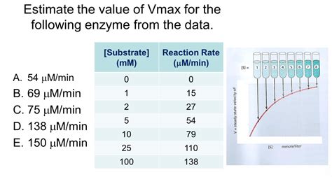 Solved Estimate The Value Of Vmax For The Following Enzyme