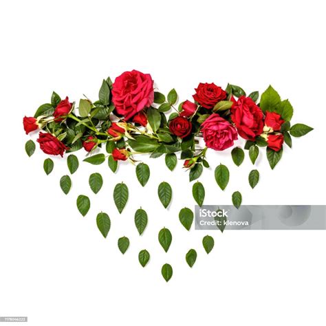 흰색 배경에 빨간 장미가있는 커피 또는 찻잔으로 만든 창조적 인 레이아웃 개념에 대한 스톡 사진 및 기타 이미지 개념 구도 꼭대기 Istock