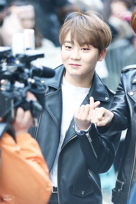 Woozi Jeonghan Wonwoo Boo Seungkwan Big Group Pledis Entertainment