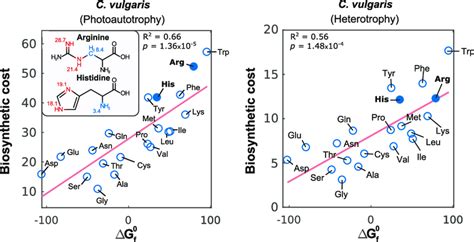 Unraveling Interactions Among High Nitrogen Content Of Histidine And