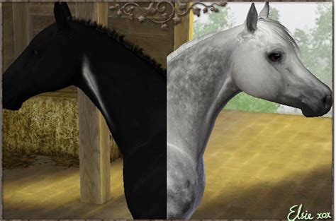 Equus CC Database Mixed Shaders