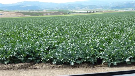 Farmland Mapping And Monitoring Program Virtual Sessions