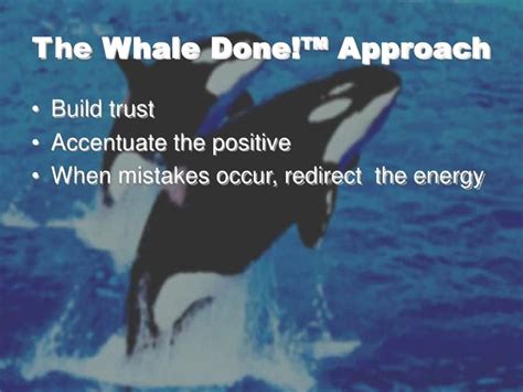 Whale Done The Power Of Positive Relationships