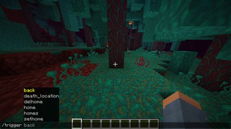 Home Datapack Sethome Home Minecraft Data Pack
