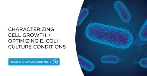 Emese Sinkó On Linkedin Monitoring E Coli Cultures With The Biolector