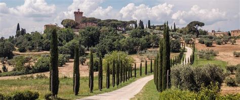 Cypress Dev Community