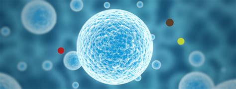 A Growing Collection Of Ips Cells For Research Use