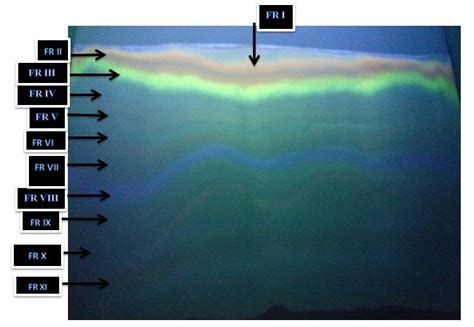 Preparative Tlc Chromatogram Showing Different Bands Fractions Fr