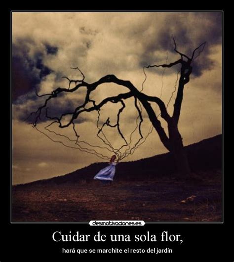 Imágenes Y Carteles De Descuidas Desmotivaciones